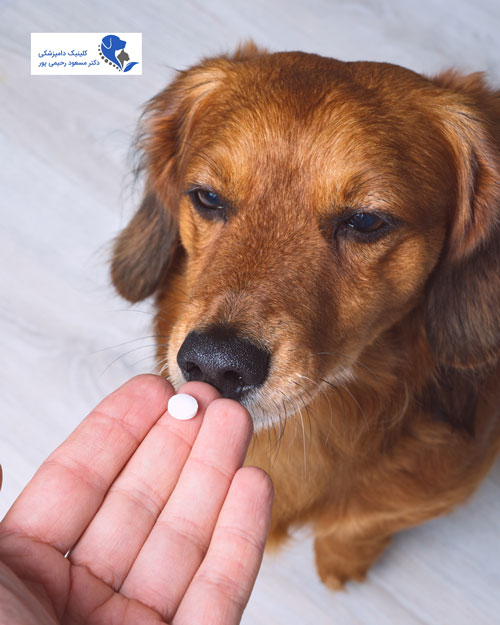 انگل تراپی حیوانات - کلینیک دامپزشکی دکتر رحیمی پور در تهران